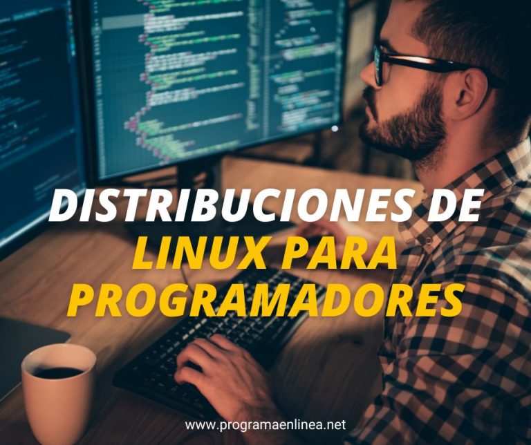 Distribuciones de Linux para programadores – Programa en Línea