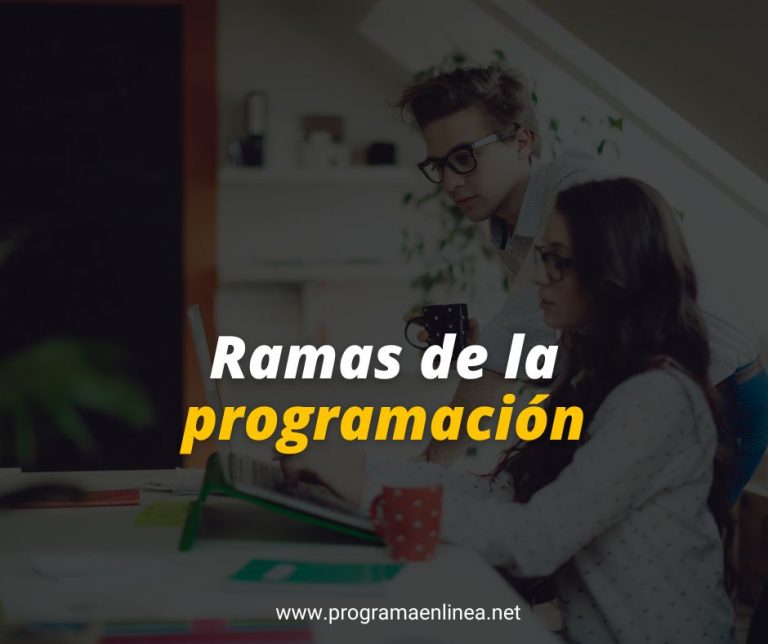 Ramas de la programación – Programa en Línea